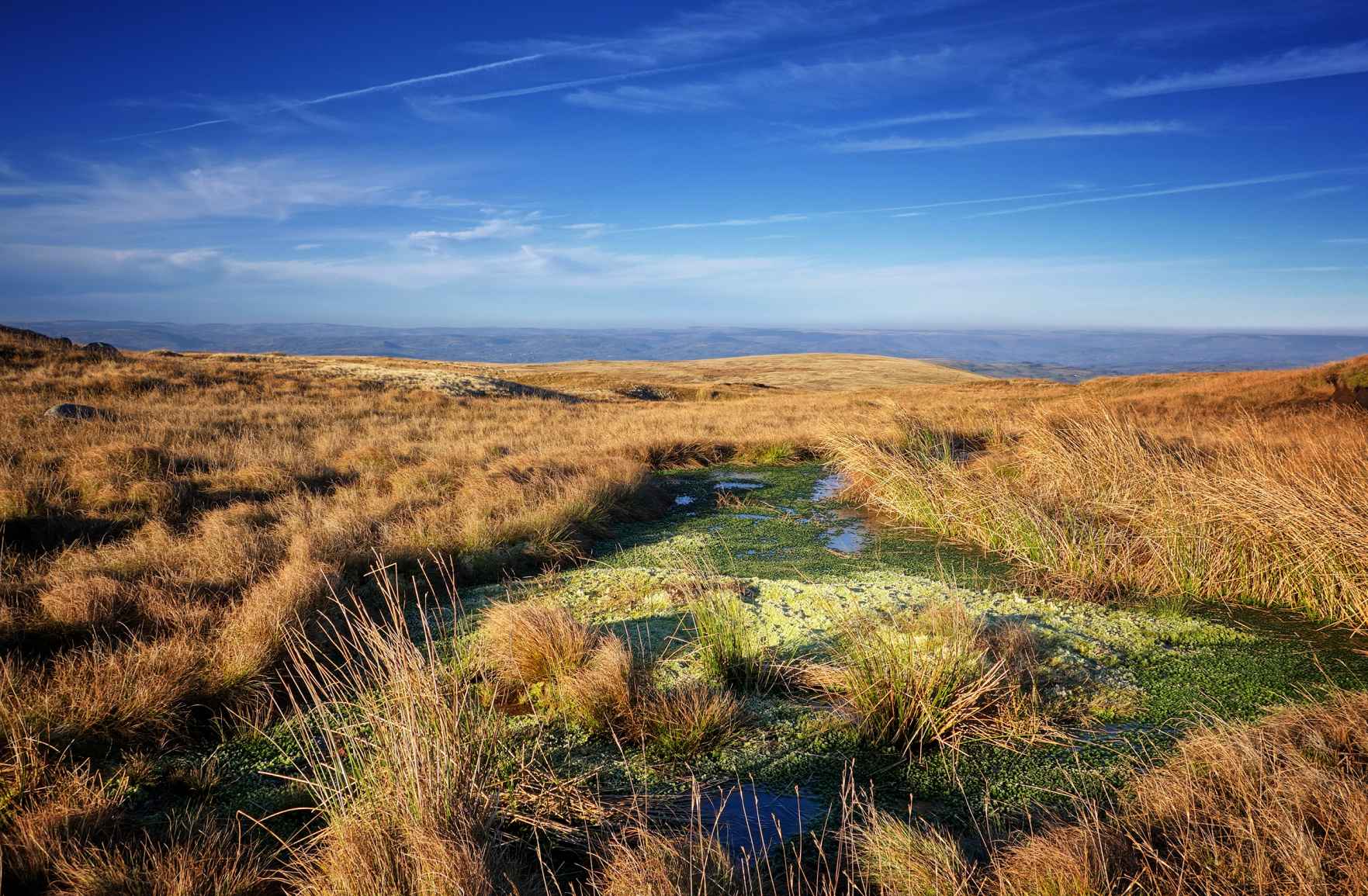 Peatlands Of Wales Maps : Unified Peat Map of Wales – OZIZG