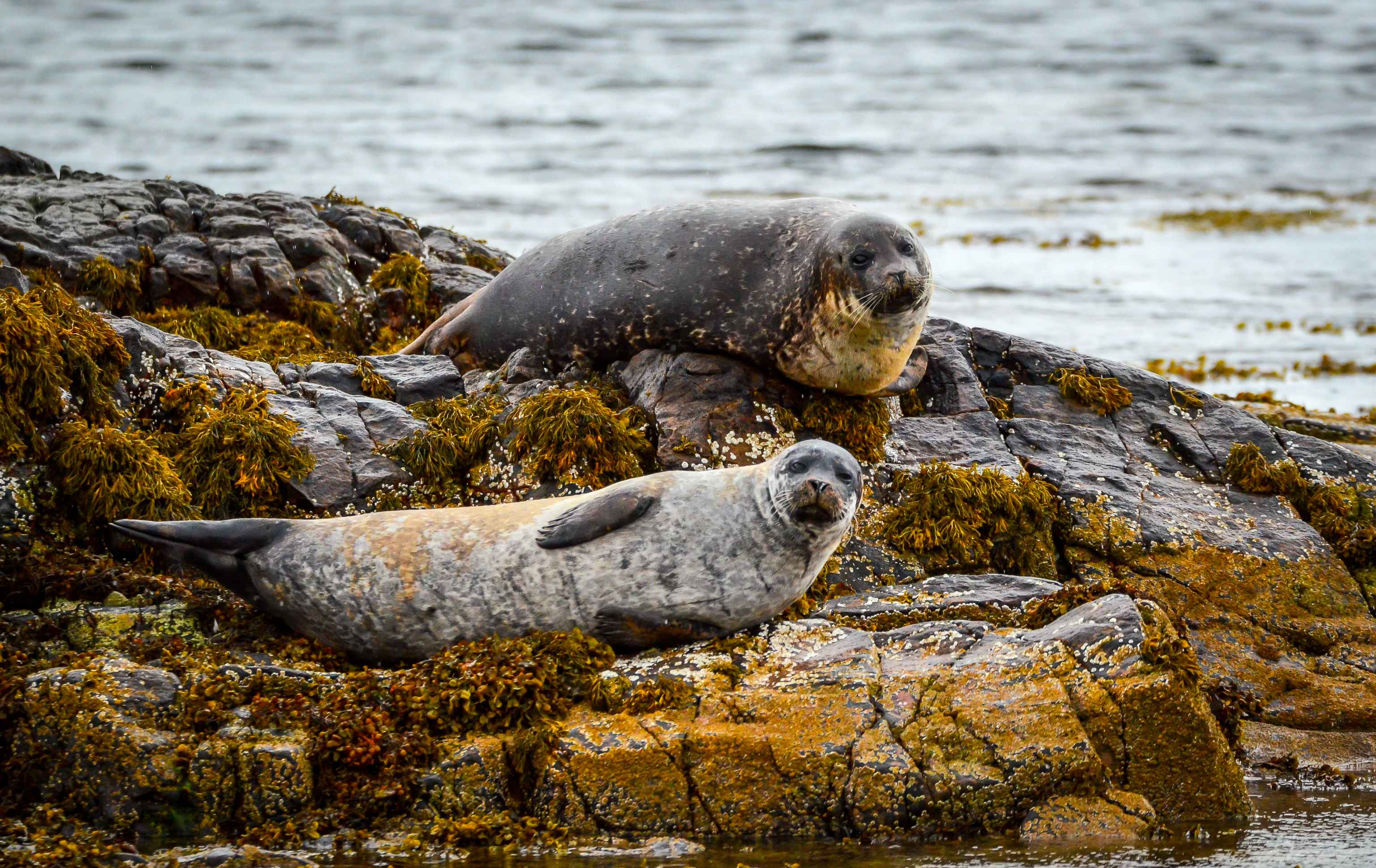 “Time is rapidly running out” for the Welsh Government to establish an ...