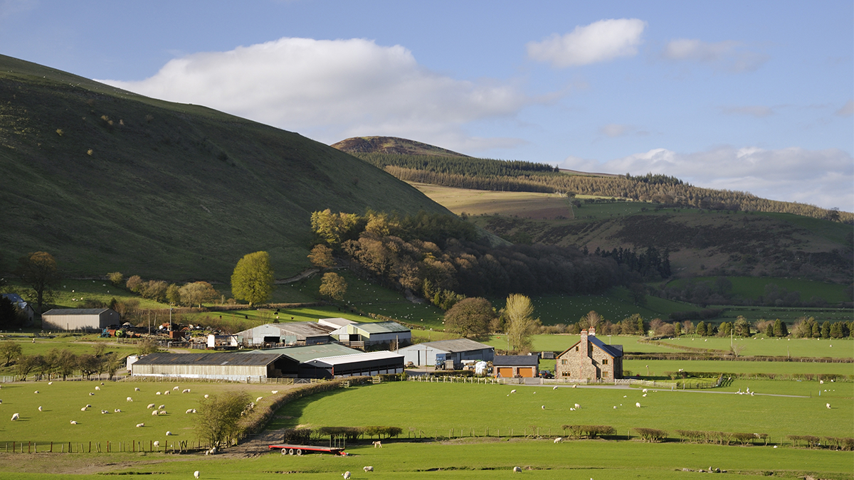 Diversification and resilience of Welsh farming: prospects after Brexit
