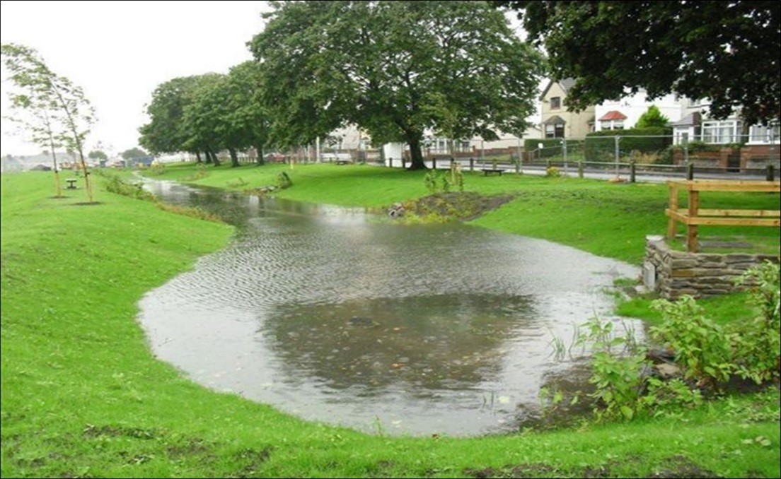 Dealing with surface water: the new standards for sustainable drainage ...
