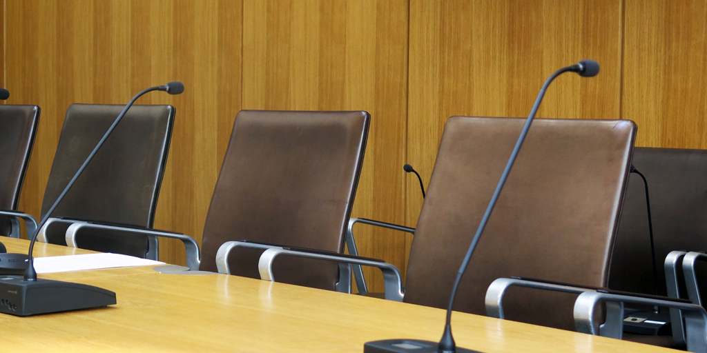 The Assembly moves to electing its Committee Chairs