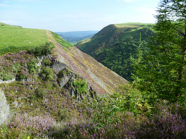Improving the ‘State of Nature’ in Wales: the Nature Fund